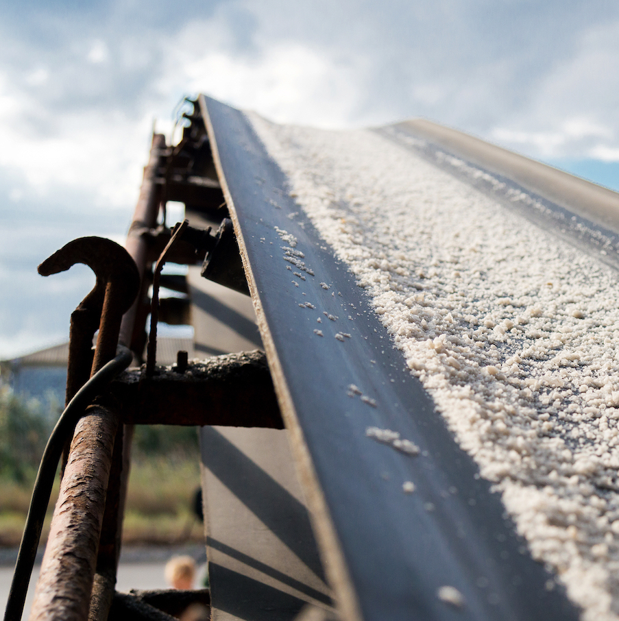 Why ‘digital’ is relevant for the salt value chain | digitalswitzerland